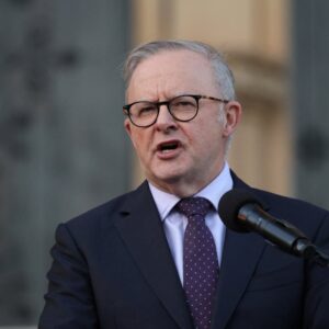 Critics Slam Albo’s Move as ‘Weak’ and ‘Inadequate’ – Australian News ...