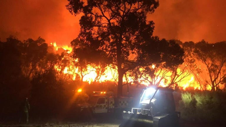 BUSHFIRE HELL South Australian Communities Told to Flee for Their Lives ...