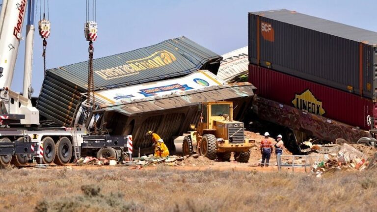 Truck Driver Accused of Killing Two Train Drivers Dies Before Trial ...
