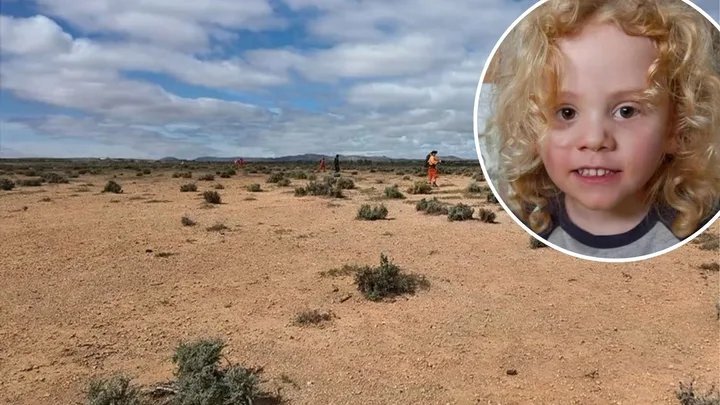 Desperate Search for Missing Four-Year-Old Boy Reaches Crisis Point ...