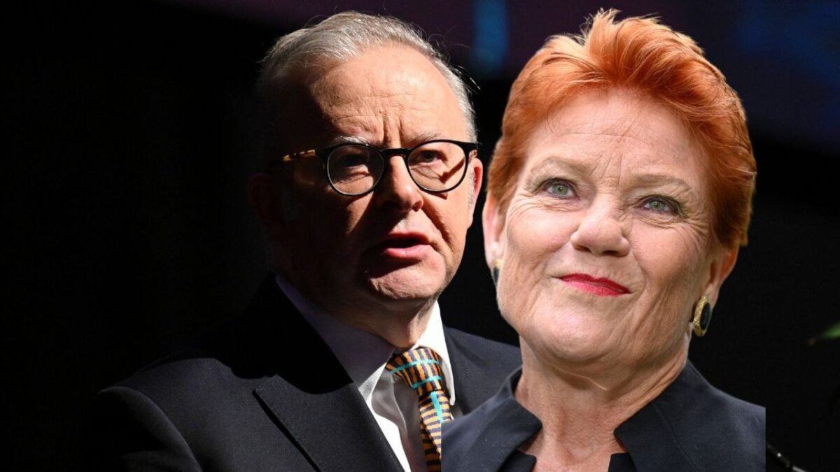 SA Liberals Face Historic Wipeout as One Nation Surges to Power ...