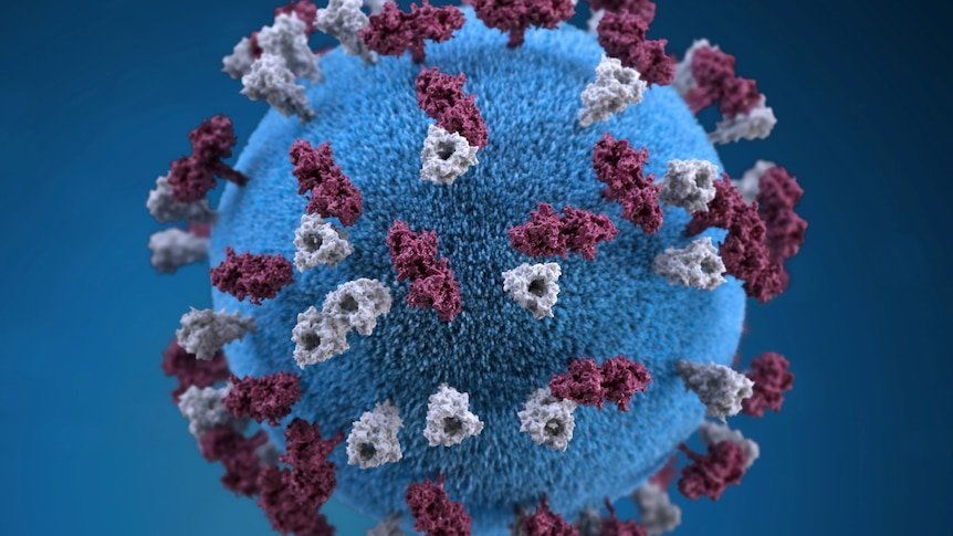 Thousands Exposed at Brisbane Airport in Virus Scare – Australian News ...