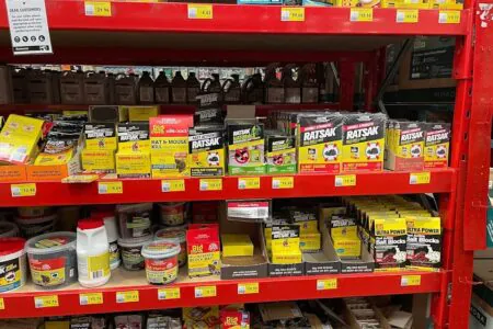 Rat Poison Ban Looms as Australia Cracks Down on Deadly Wildlife Threat ...