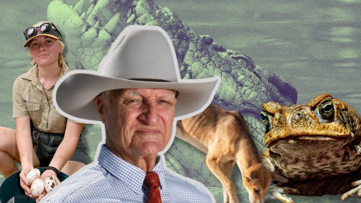 Katter Demands Action After Deadly Shark Attacks in Queensland ...