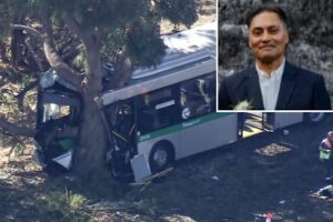 Bus Crash Tragedy Beloved Dad Dies in Perth Horror Smash – Australian ...